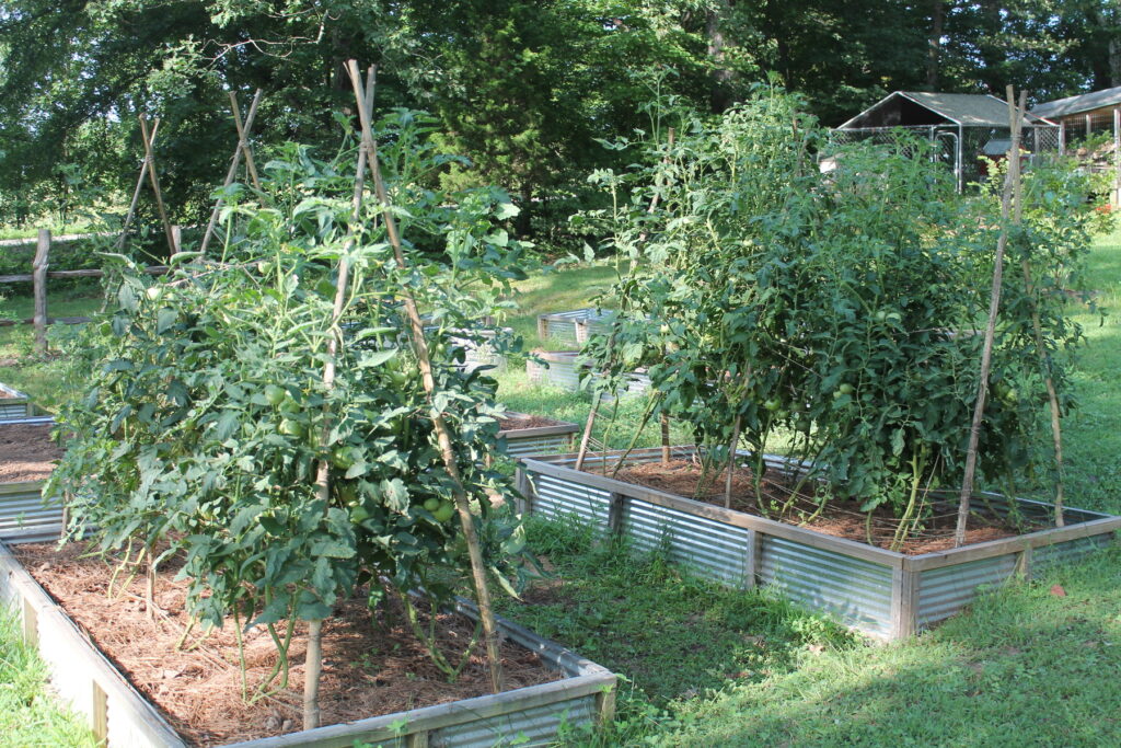 How to Make and Use Trellises in the Garden - Countryside